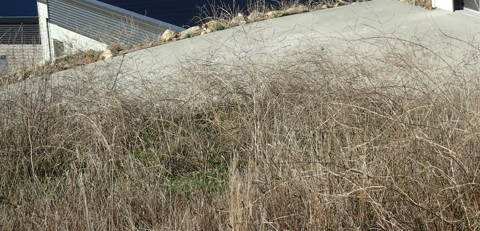 McGill Rise update November 2023 | Glenorchy City Observer